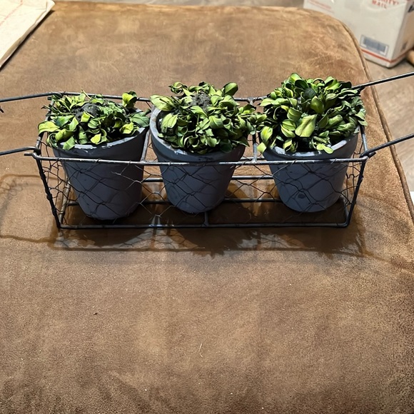 Accents | 3 Small Pots W Greenery In A Cute Wire Basket | Poshmark